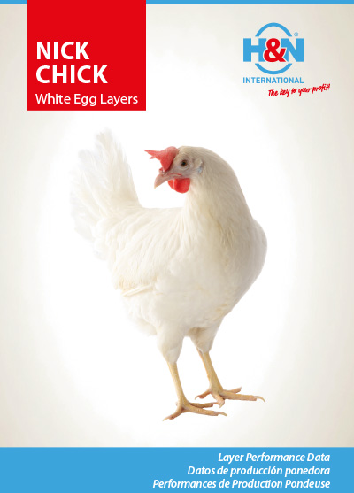 Download- H&N International