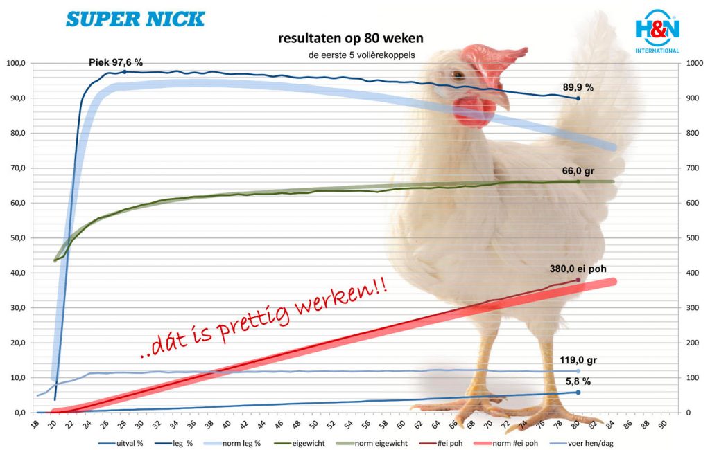 Excellent results on Brown Nick and Super Nick in the Netherlands