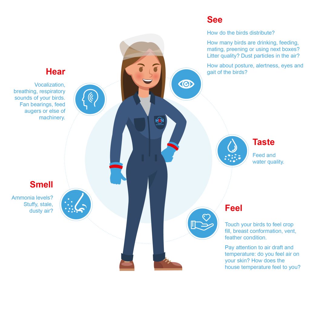 Poster infographics H&N