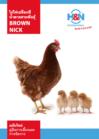 Brown Nick Thai Poultry The Chickipedia H&N