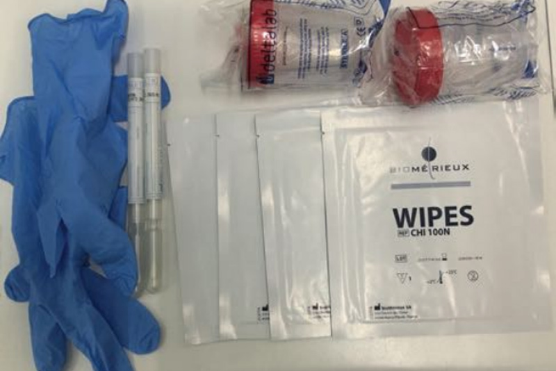 House preparation and arrival of chicks Poultry The Chickipedia H&N