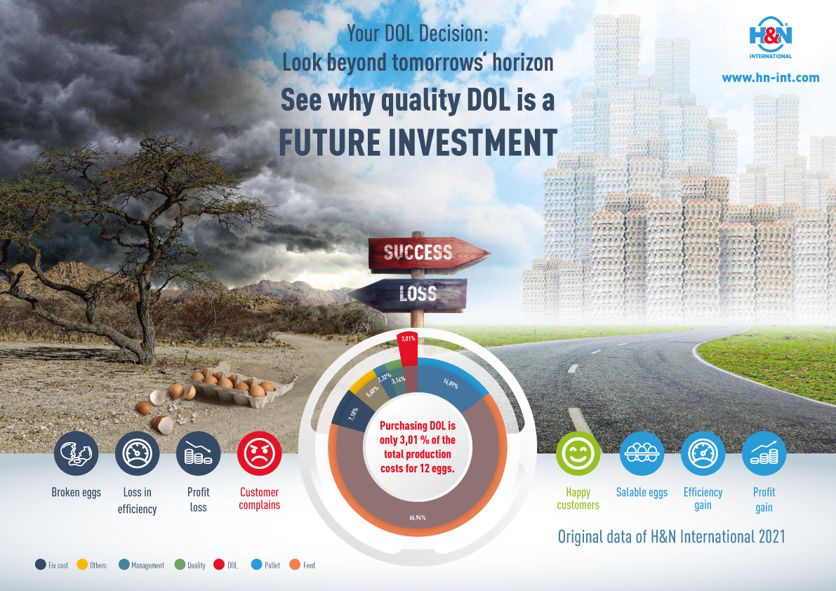 Future Investment Two Roads