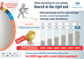 Economic poster third campaign WHITE