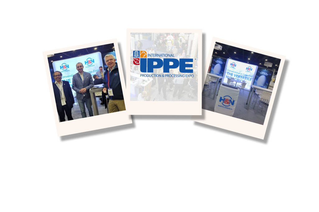 AND WHAT ELSE WE DID IN 2022